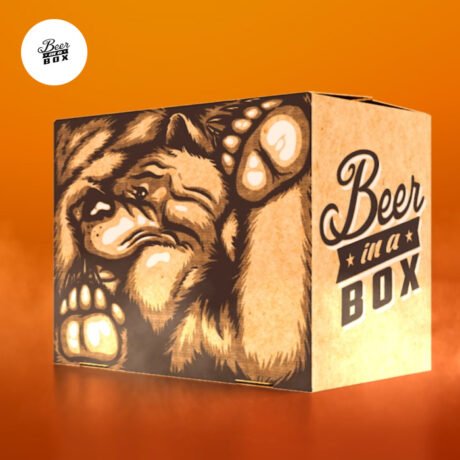 Over Beer in a Box en de verschillende boxen van Beer in a Box